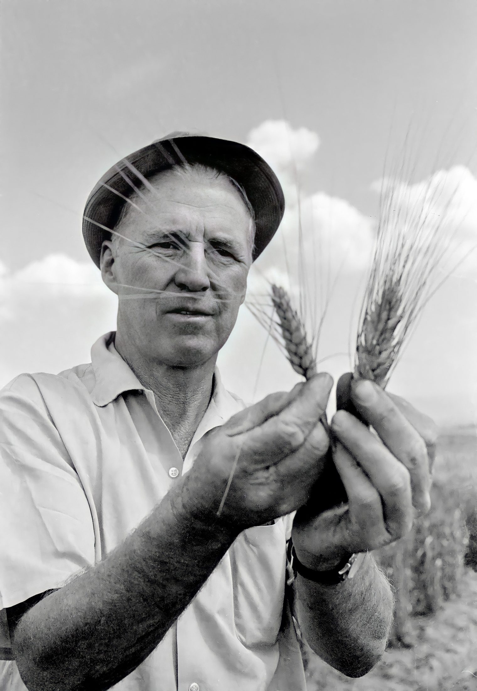 Norman E. Borlaug, Ph.D. | Academy of Achievement