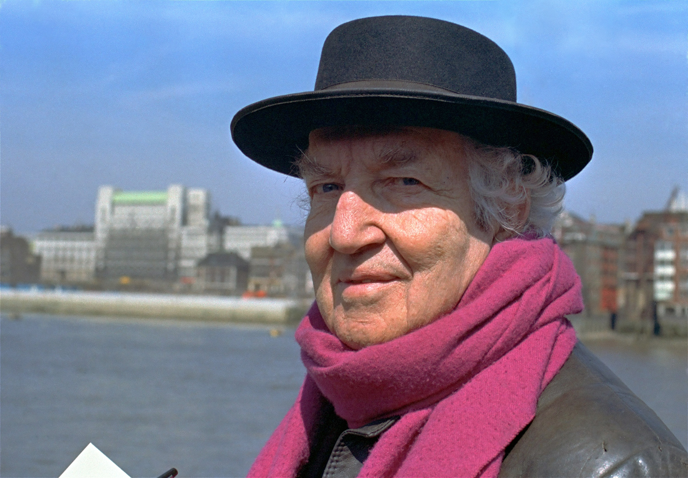 W. S. Merwin | Academy of Achievement