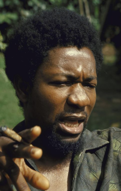 Wole Soyinka | Academy of Achievement