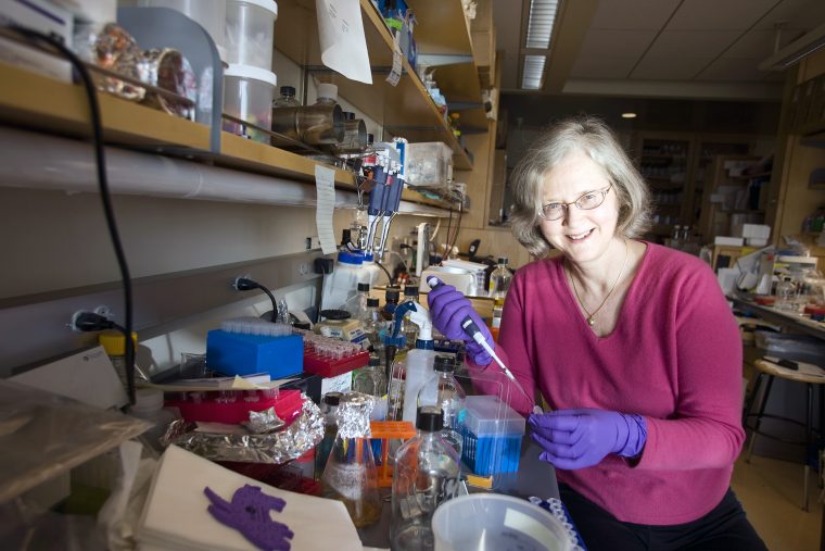 Elizabeth Blackburn, Ph.D. | Academy of Achievement