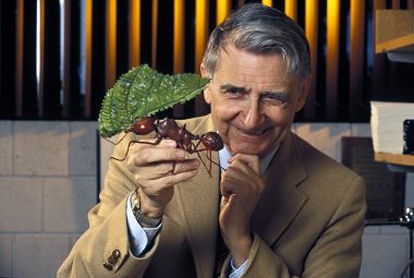 Edward O. Wilson, Ph.D. | Academy of Achievement
