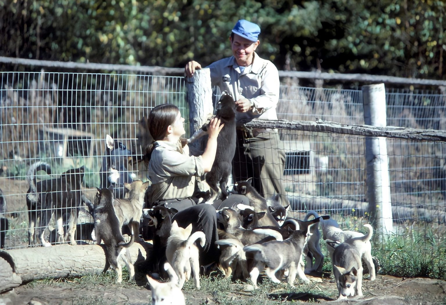 Susan Butcher | Academy of Achievement