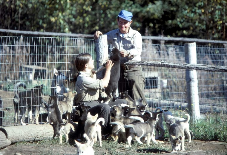 Susan Butcher | Academy of Achievement