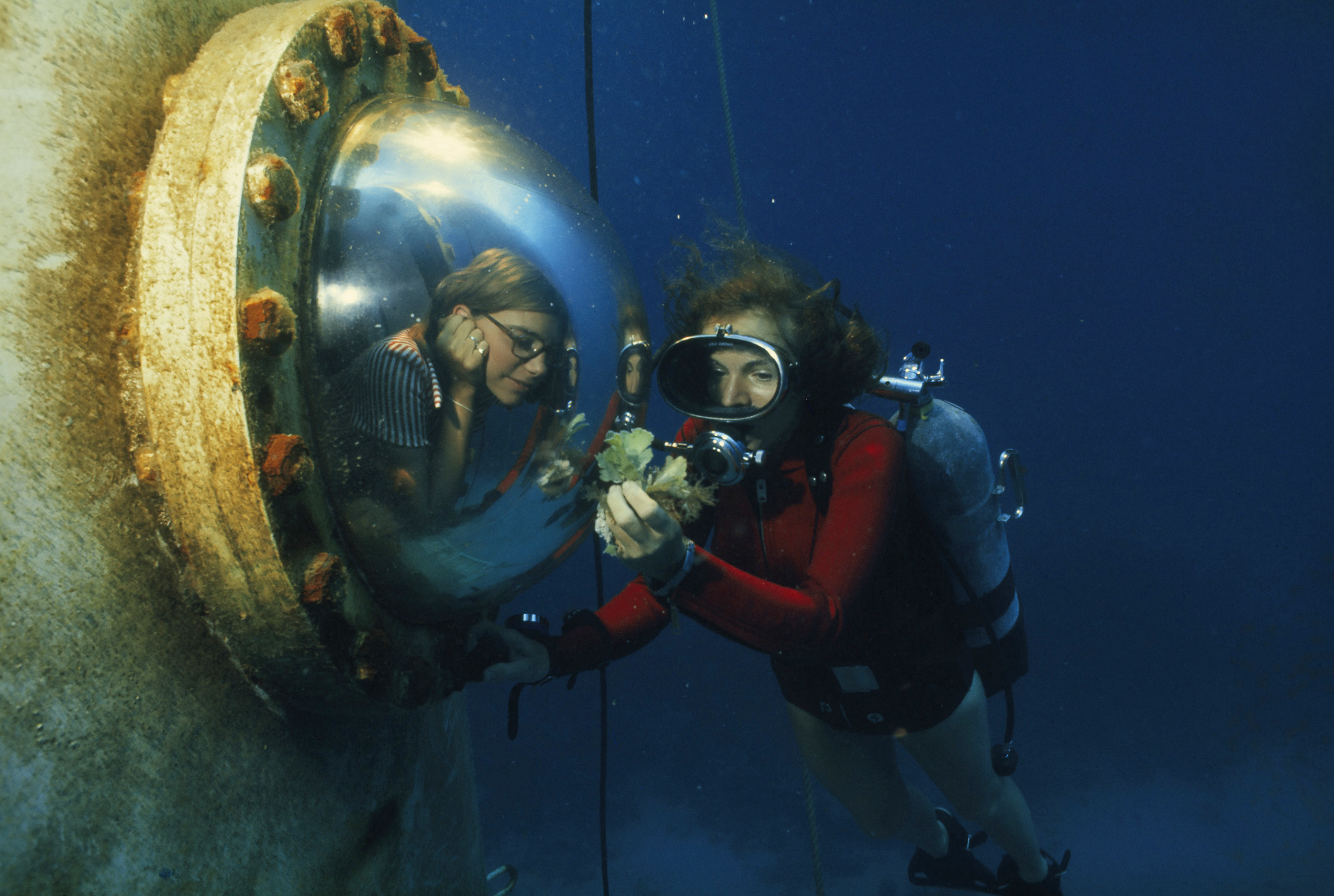Sylvia Earle, Ph.D. | Academy of Achievement