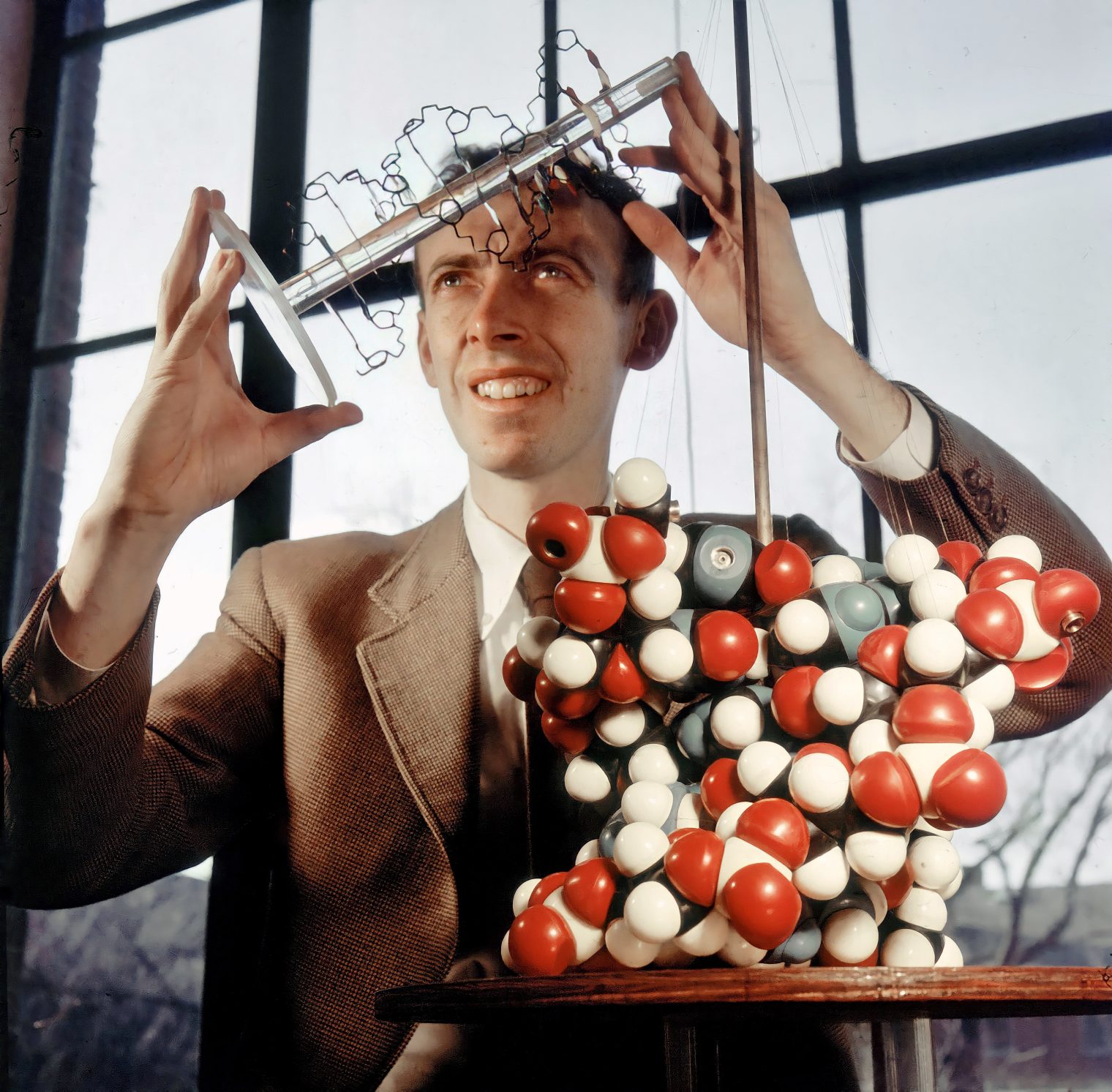 James D. Watson, Ph.D. | Academy of Achievement