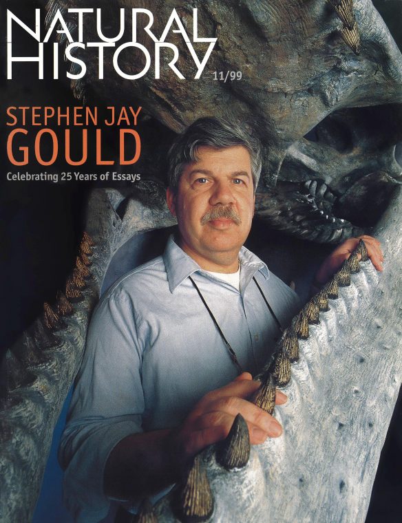 Stephen Jay Gould, Ph.D. | Academy of Achievement