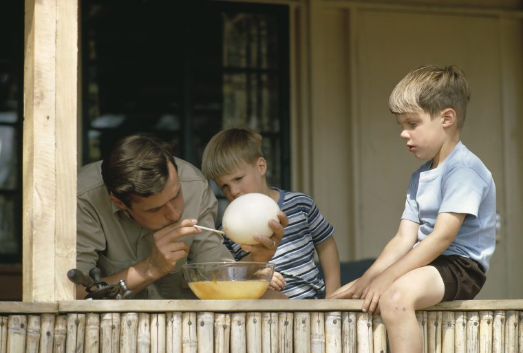 George B. Schaller, Ph.D. | Academy of Achievement